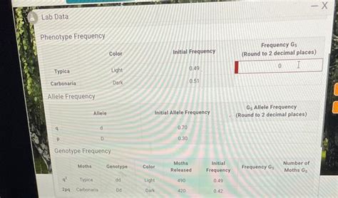 Solved Lab Data Phenotype Frequency Genotype Frequency