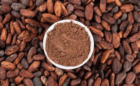 Why Dr Mark Hyman Recommends Cocoa Flavanols