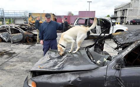 20160524 Accelerant Detection Canine