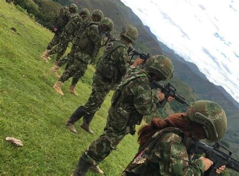 Farc Ii Las Disputas Entre Los Líderes Disidentes De La Ex Guerrilla