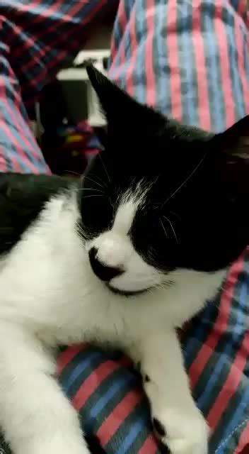 Raspberry Album On Imgur