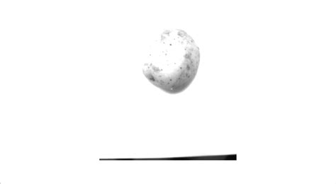 Potato 600 Object Detection Dataset By Alexey Kutyrev