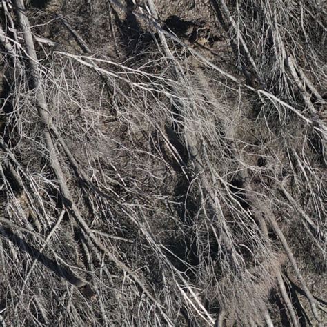 Treefall 2023 Instance Segmentation Dataset V2 2023 09 30 8 41am By Richard Wood University