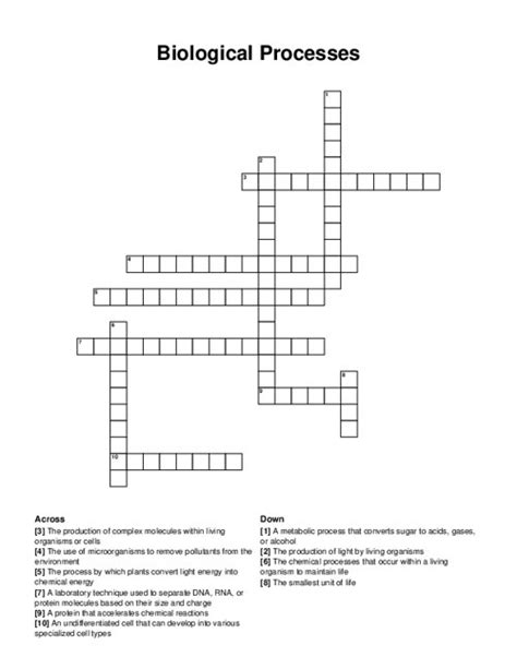 Biological Processes Crossword Puzzle