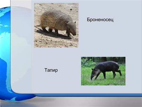 природни зони в южна америка подобрен вариант Ppt