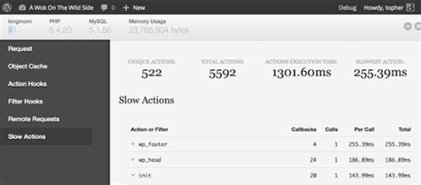 Using The Wordpress Debug Bar Plugin Ostraining