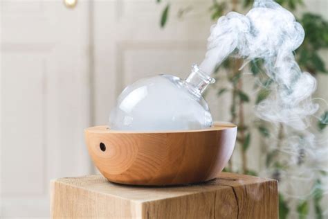 The Art Of Choosing Your Aromatherapy Diffuser Pranarom Canada Blog