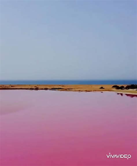 تالاب صورتی کجاست؟