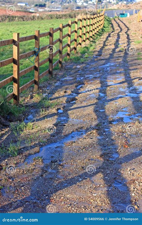 Fence And Shadows Stock Photo Image Of Devon England