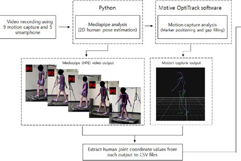 Figure 1 From Improving Gait Analysis Techniques With Markerless Pose