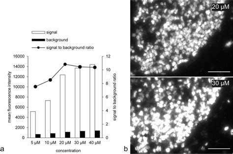 Optimal Conditions For Spider βgal In Gafam The Bar Graph Shows The Download Scientific