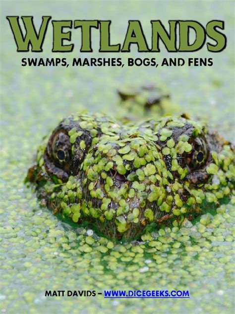 Wetlands Swamps Marshes Bogs And Fens Pdf Wetland Peat