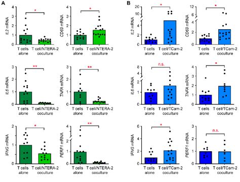 Figure 4 From The Subtype Identity Of Testicular Cancer Cells