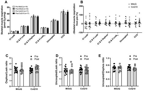 Skeletal Muscle Mitochondrial Respiration A B Before And Following