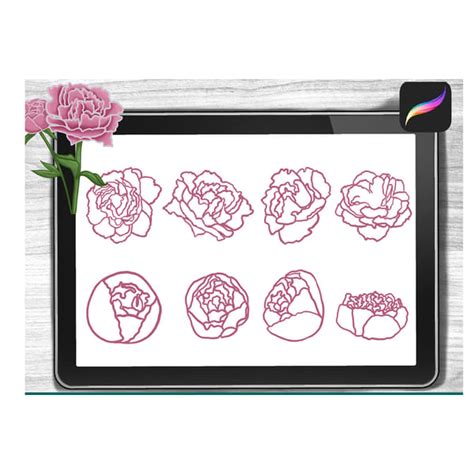 Peony Brushes Procreate Stamps Inspire Uplift