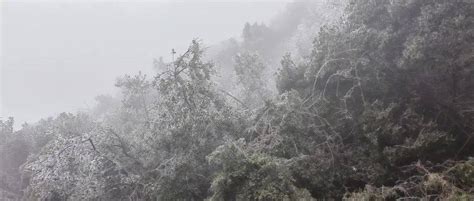 11℃！河源现雾凇景观~天气广东气温