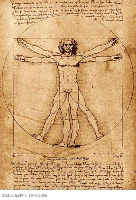 Sex는 과학이다 몇년 전 침대는 과학이다 라는 산뜻했던 광고가 생각난다 성에대해 공부하고 자료를 연구하다보니 그야말로 Sex는 외로운중년아줌마들오세요