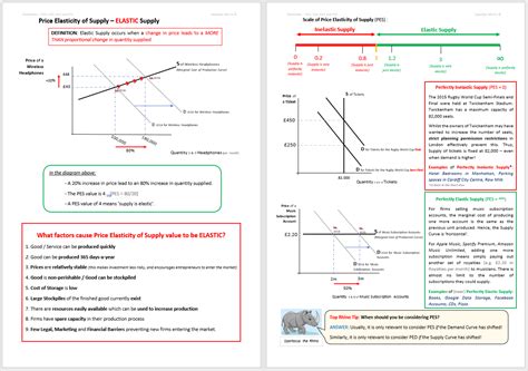 PED YED XED PES Revision Notes EDEXCEL All Elasticities Covered Teaching Resources