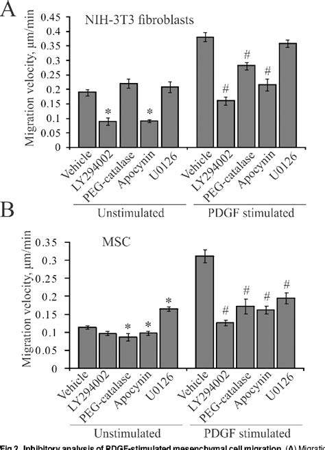 Figure 2 From Nox4 And Duox12 Mediate Redox Activation Of Mesenchymal