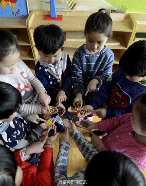 邯鄲小學生識五穀 迎臘八 每日頭條
