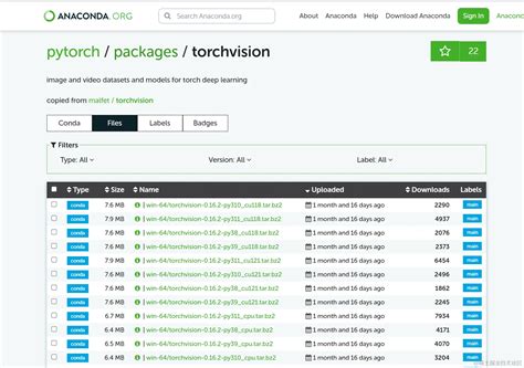 解决方案：2024年pytorch（gpu版本） torchvision手动安装教程[万能安装方法] win64、linux、macos