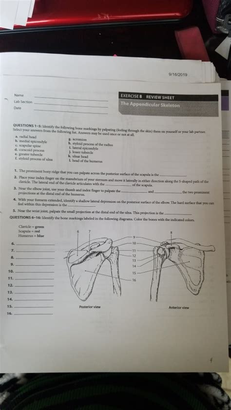 Solved 9162019 Lab Section Date Exercise 7 Review Sheet