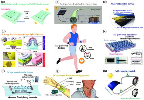 Integrated Devices Powered By Fs Scs A Reproduced With Permission