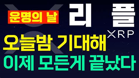 리플 Xrp 운명의 날 오늘밤 기대해 이제 모든게 끝났다 Youtube