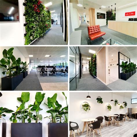 Fiodar Sazanavets 🇺🇦 On Linkedin Our Office Looks Good