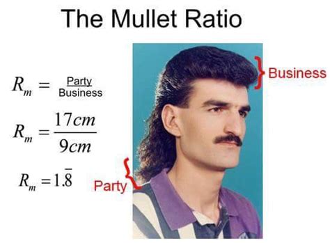 The Best Mullet Memes Memedroid