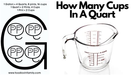 What Does 5 Quarts Of Water Look Like At Harrison Grove Blog