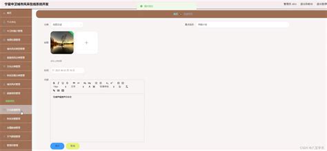 Java毕设项目宁夏中卫城市风采在线系统开发（javavuemybatismavenmysql）中卫系统开发 Csdn博客