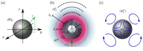 A The Spherical Particle With Radius A And The Referenced Coordinate Download Scientific A The Spherical Particle With Radius A And The Referenced Coordinate Download Scientific