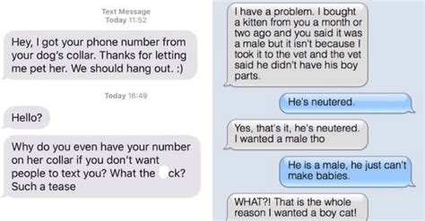 Cringey Behavior From Humans Who Are Definitely Not Allowed Near Our Pets I Can Has Cheezburger