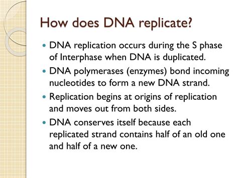 Ppt Dna Powerpoint Presentation Free Download Id 2423938