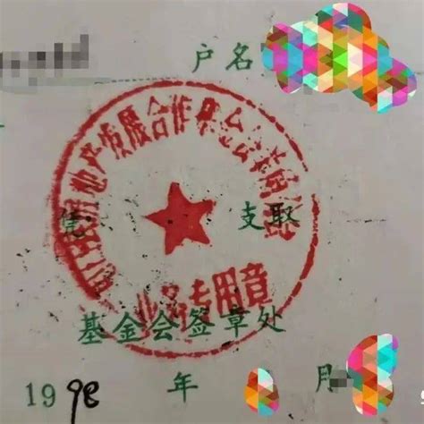 二十多年前入股的电白县房地产基金会血汗钱还能退最新回应来了 本金 政府 兑付