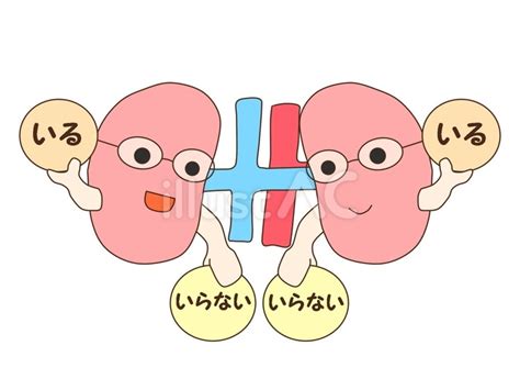 働く腎臓イラスト No 23733108無料イラストフリー素材ならイラストAC