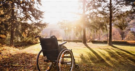 해질녘 공원의 잔디밭에 있는 빈 휠체어 사진 Unsplash의 바퀴 이미지