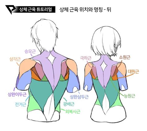 프로픽 아카데미 On Twitter 2024 드로잉 강좌 해부학 그림 드로잉