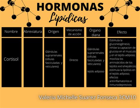 Tabla De Hormonas Lip Dicas Testosterona Cortisol Aldosterona The