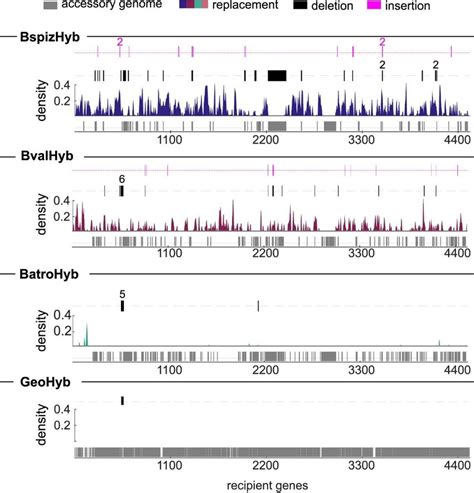 Genomic Variations In Transformation Hybrids Depend On The Sequence Download Scientific Diagram