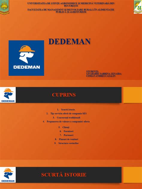 Proiect Economia Serviciilor Pdf