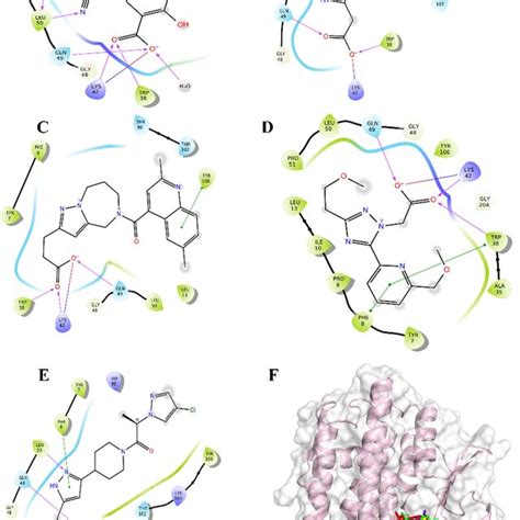Two Dimensional 2d Representation Of Ligand Interaction Map Of The Download Scientific