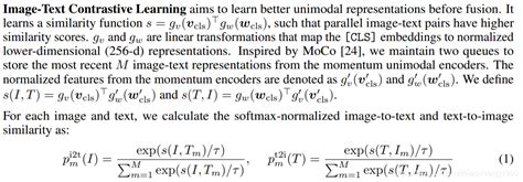 互信息最大化[视角统一] Align Before Fuse Vision Language Representation Learning With Momentum