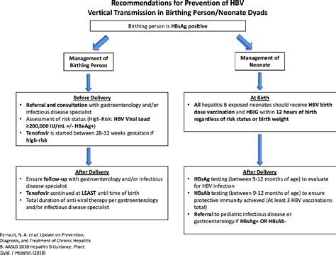 What Is Vertical Transmission Of Hepatitis B At Patty Armbruster Blog
