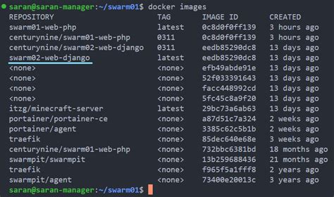 Github Centurynine Swarm02