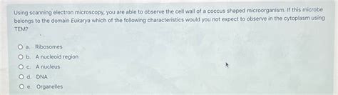 Solved Using Scanning Electron Microscopy You Are Able To