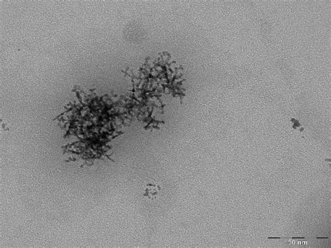 Worm Like Structures Obtained With Rh0hea16bf 4 Download