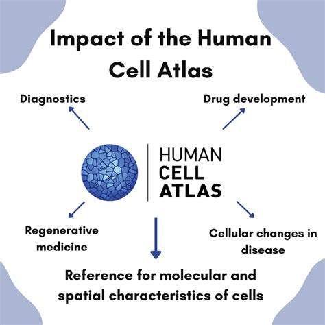 The Human Cell Atlas And Beyond An Introduction To Single Cell Data Atlases