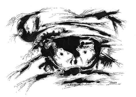 Élusion Infodimanche